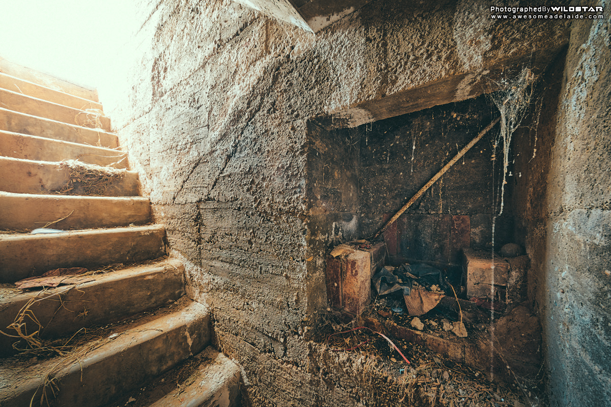 Fallout shelter tips family tree - multimediaupot