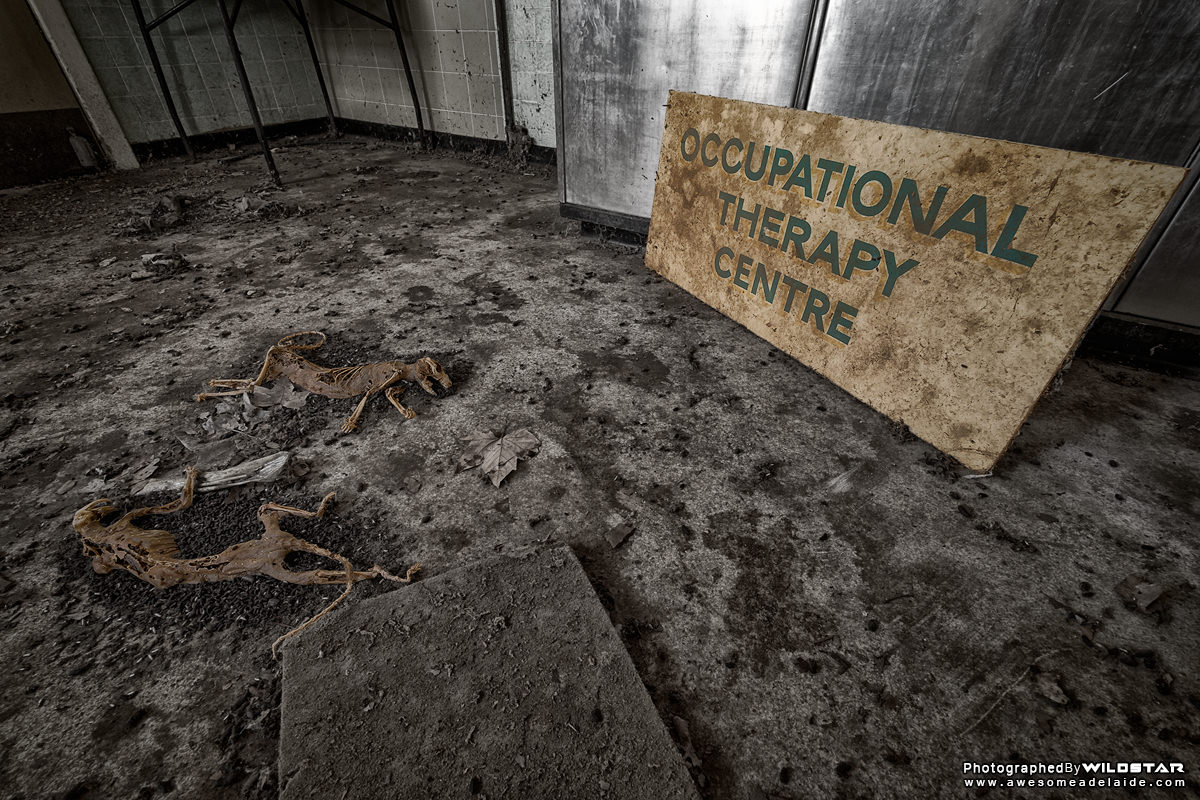 Parkside Lunatic Asylum – Awesome Adelaide